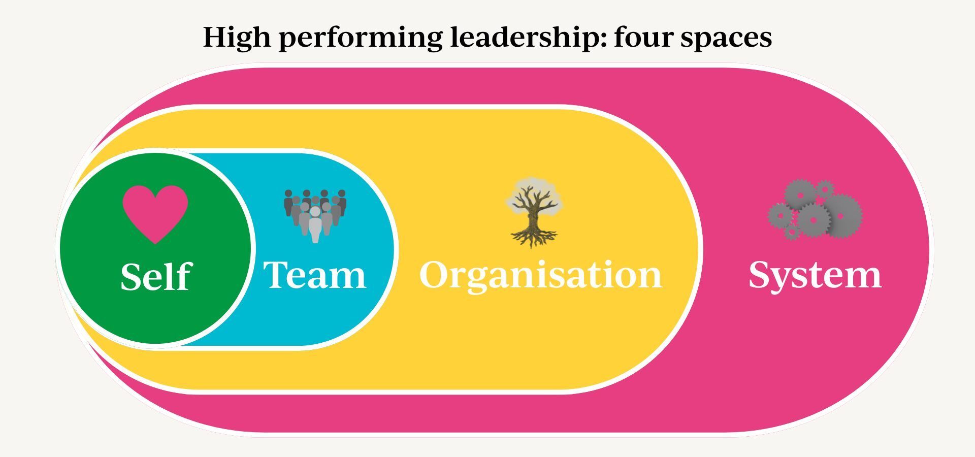 High performing leadership - Kaleidoscope Health and Care